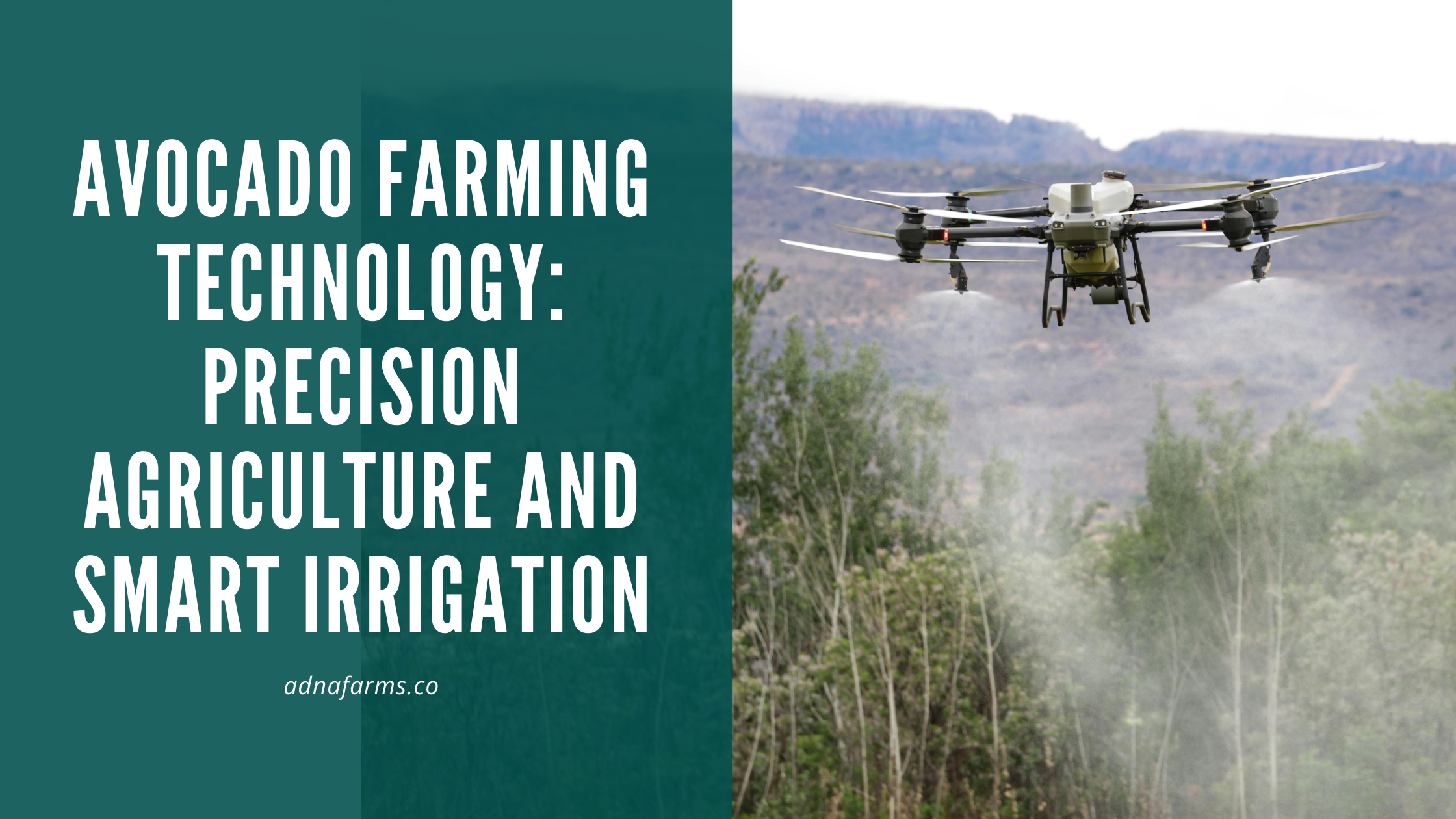 Avocado Farming Technology: Precision Agriculture and Smart Irrigation