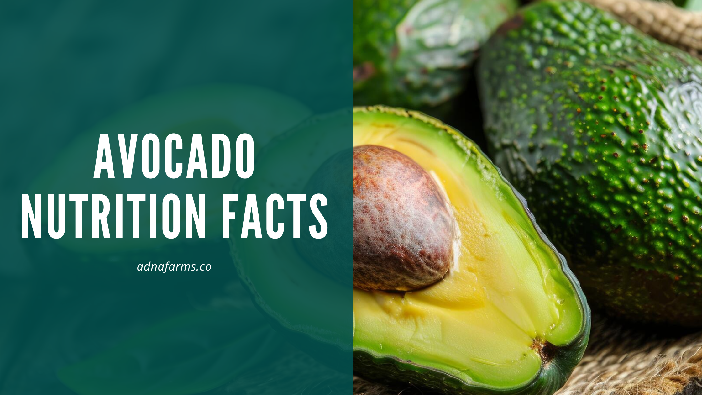 Avocado Nutrition Facts: Fats, Vitamins, and Antioxidants