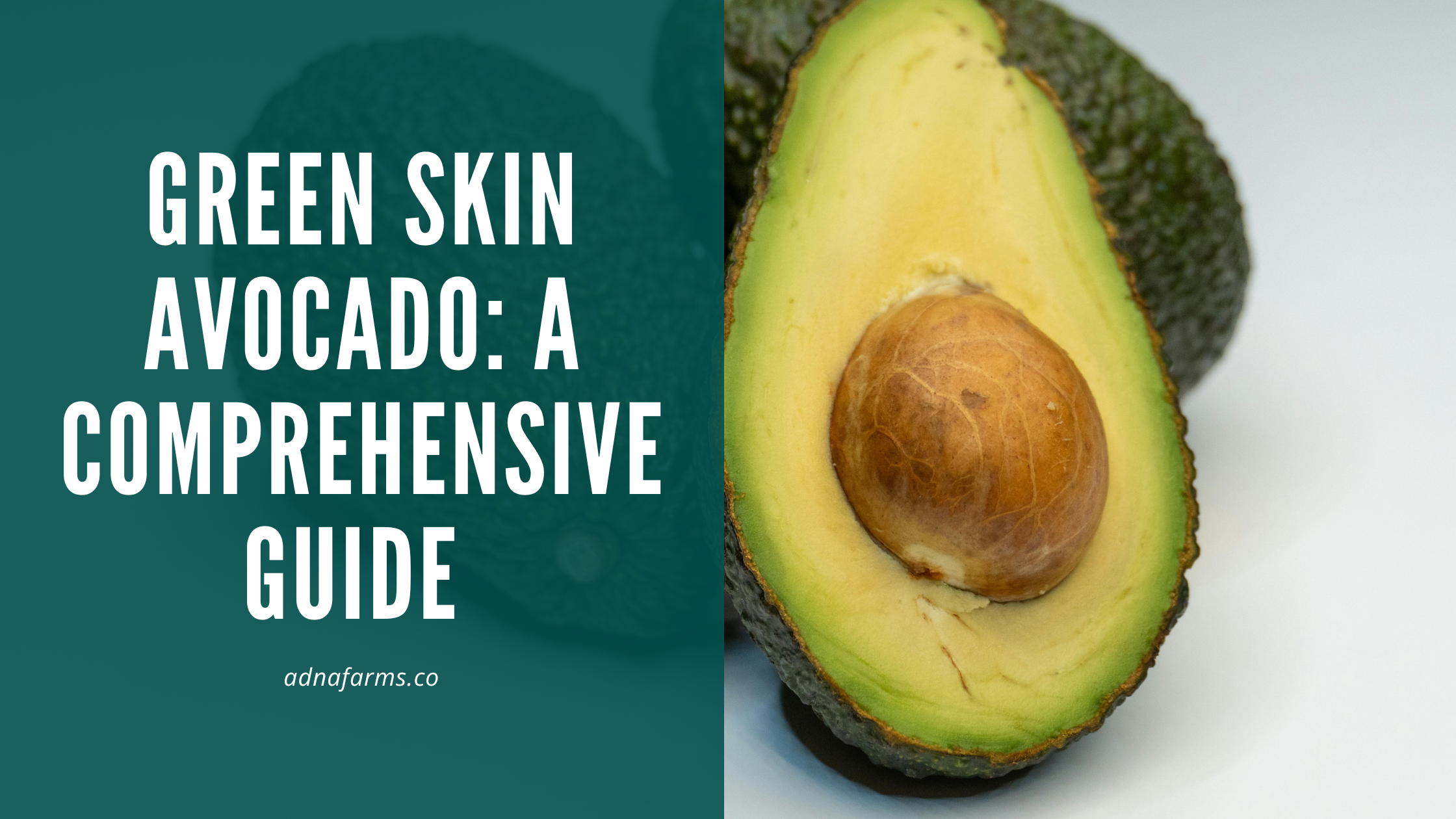 Green Skin Avocado: A Comprehensive Guide