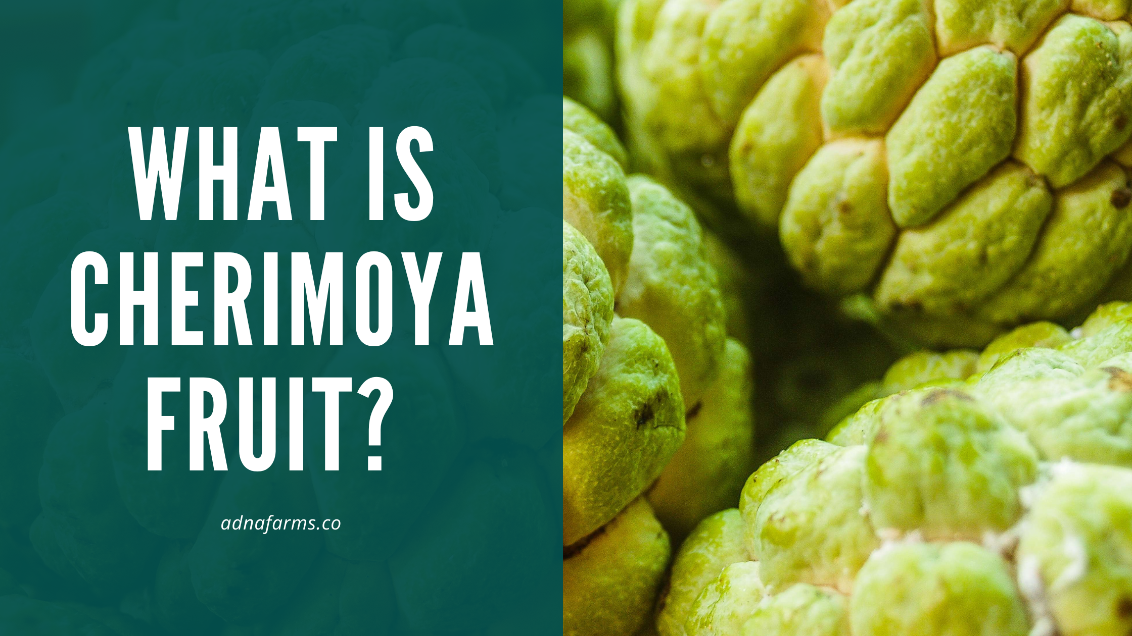 What is Cherimoya Fruit? A Complete Guide to the Custard Apple